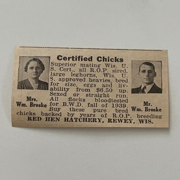 None and/or Unknown | Other | Red Hen Hatchery Mrs Wm Broske Rewey Wi ...